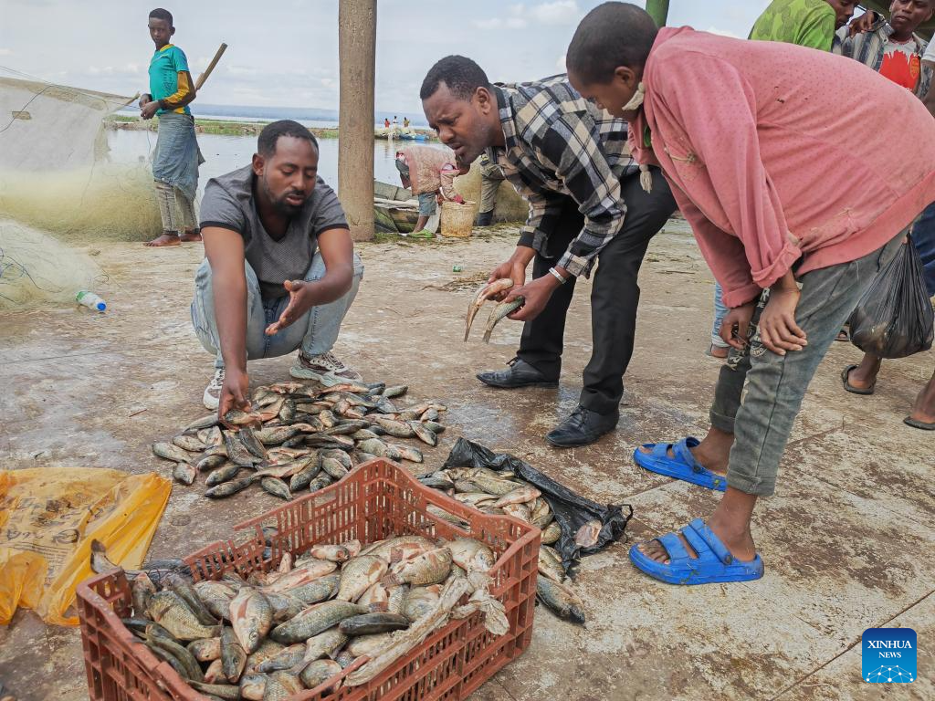 Hawassa Lake and fish market nearby draw for both locals and visitors ...