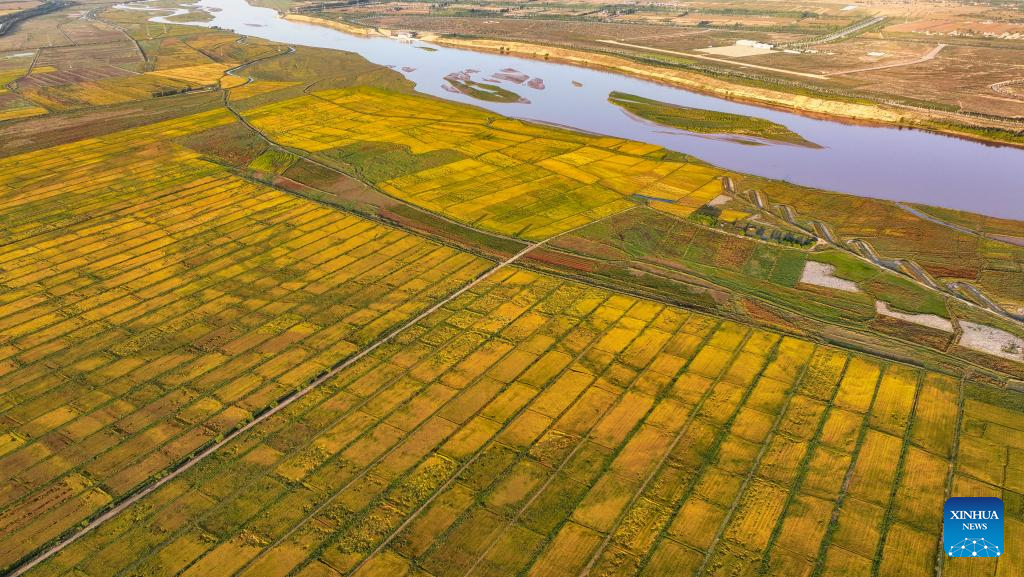 Aerial view of farms in Ningxia, NW China-Xinhua
