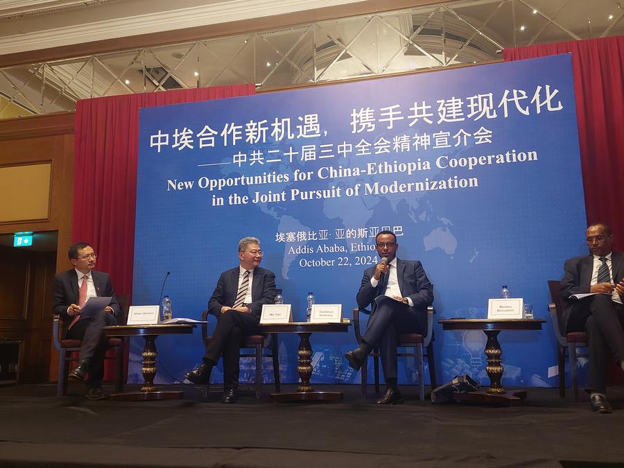 Experts, officials call for stronger China-Ethiopia cooperation-Xinhua