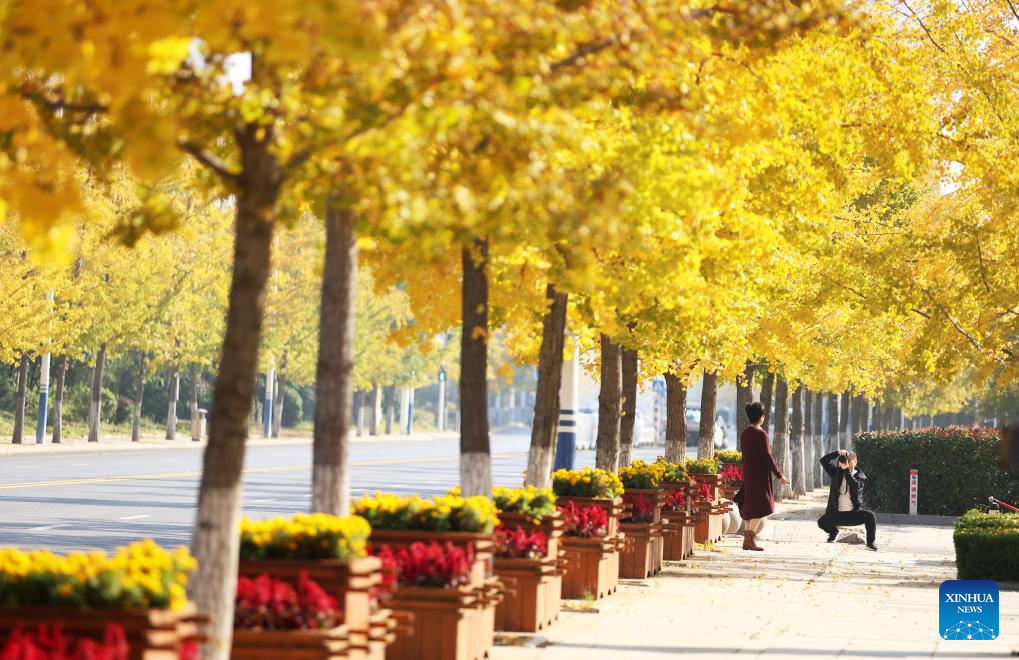Autumn scenery across China-Xinhua