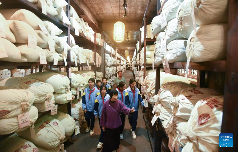 Liubao tea culture thrives in classrooms in Guangxi-Xinhua