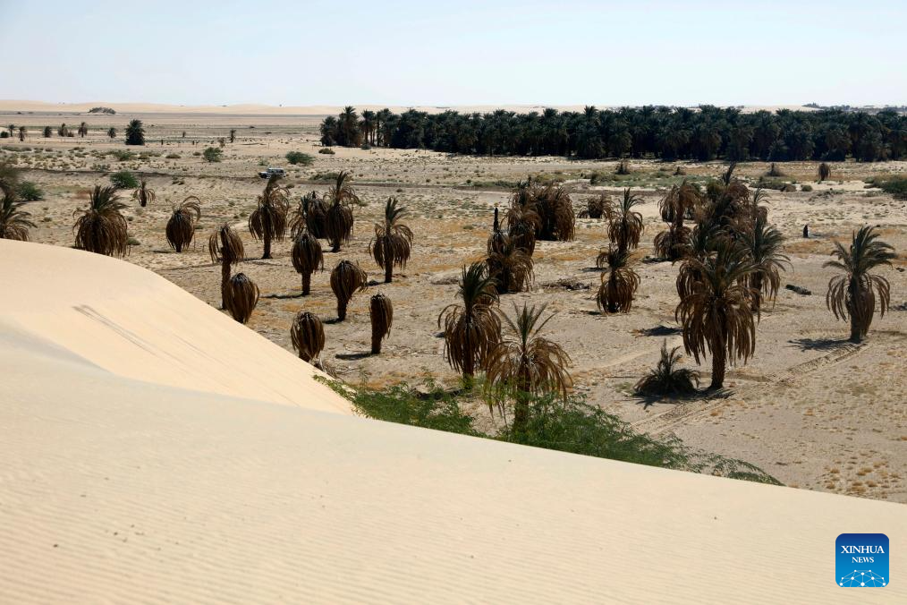 Farmers make earthen barriers to prevent sand encroachment in Sudan's Northern State -Xinhua