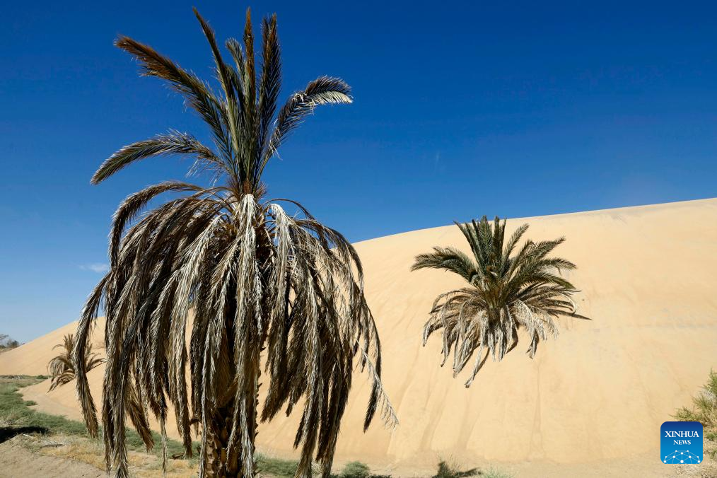 Farmers make earthen barriers to prevent sand encroachment in Sudan's ...