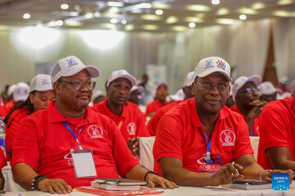 Tanzania's main opposition party elects new chairperson ahead of ...