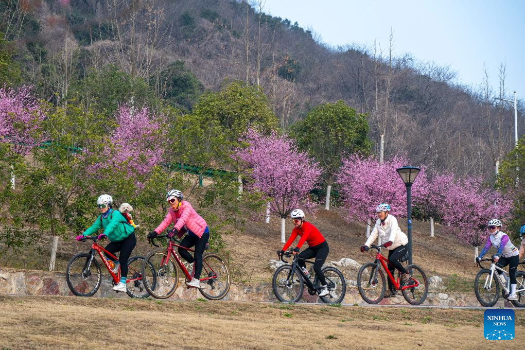 People enjoy spring across China-Xinhua