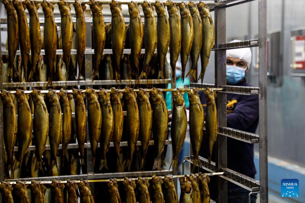 Feature: Egypt's ancient spring ritual, Sham El-Nessim, unites ...