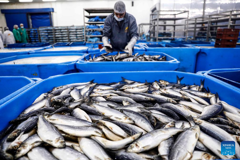 Feature: Egypt's ancient spring ritual, Sham El-Nessim, unites ...