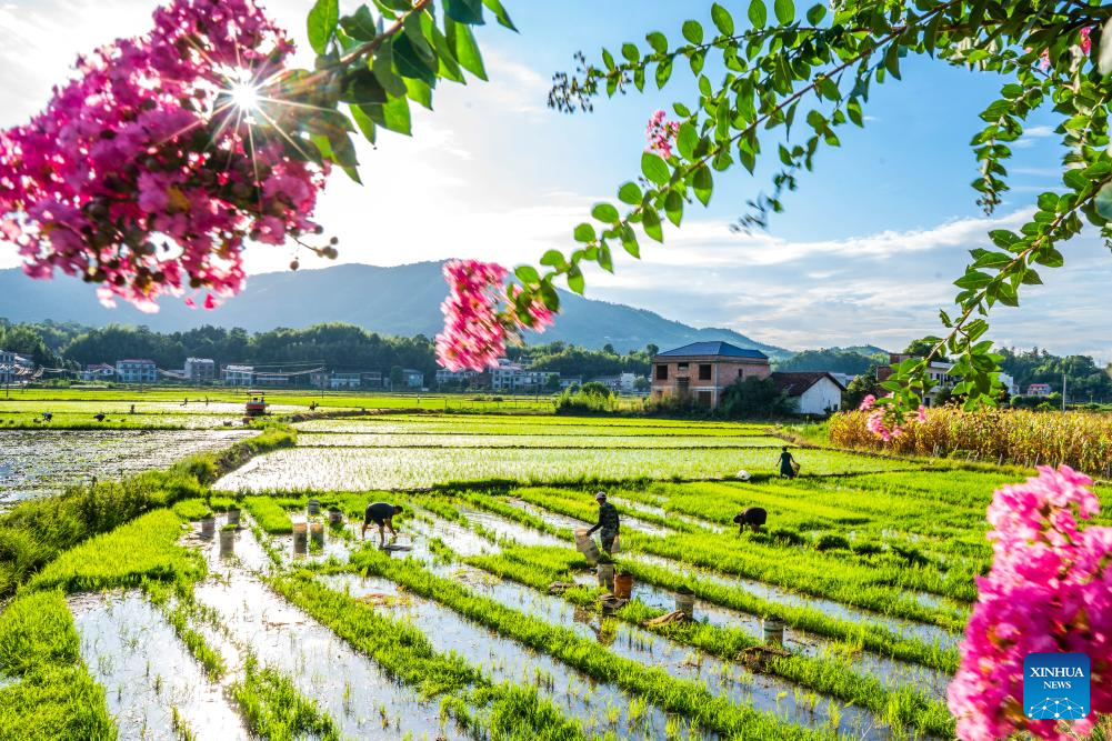Farmers across China busy with agricultural production in farming ...