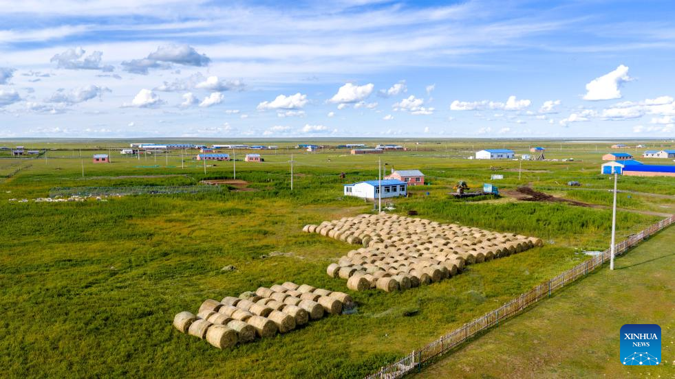 View of grassland in Hulun Buir, N China's Inner Mongolia-Xinhua