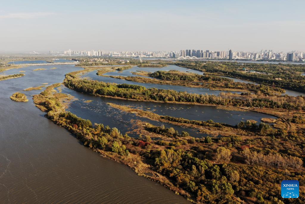Autumn scenery of wetland parks in Harbin-Xinhua