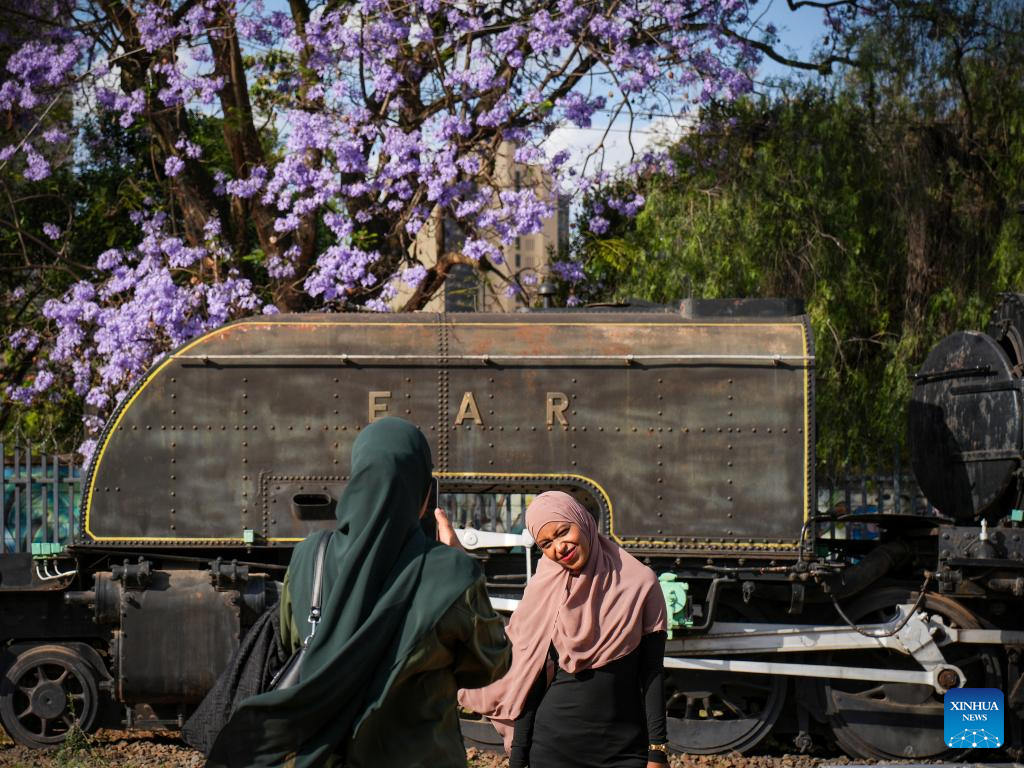 Jacaranda trees in full bloom in Nairobi, Kenya-Xinhua