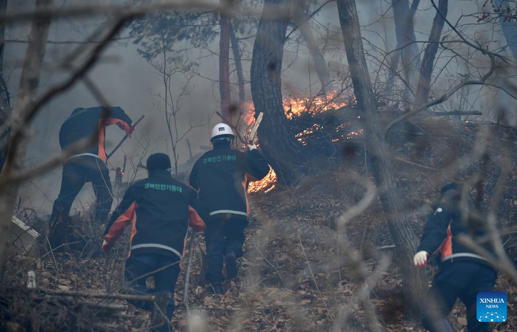 Forest fire breaks out in southeast S. Korea-Xinhua