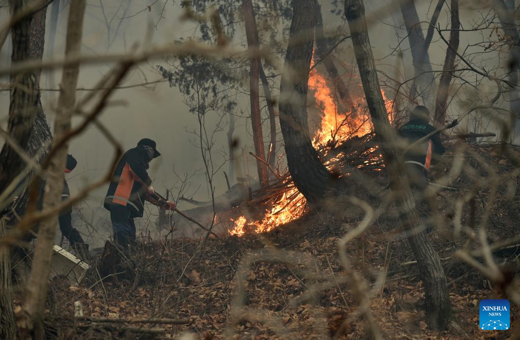 Forest fire breaks out in southeast S. Korea-Xinhua