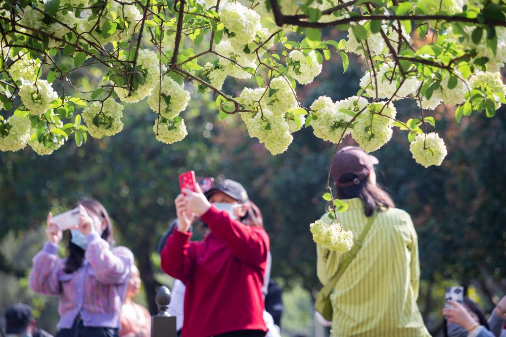 People across China enjoy spring view during Qingming Festival-Xinhua