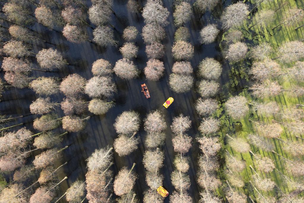 People across China enjoy spring view during Qingming Festival-Xinhua