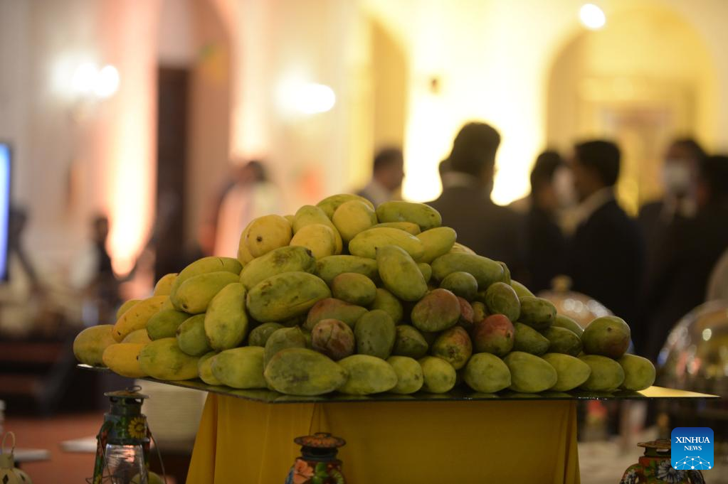 Pakistan organizes mango festival as part of its 75th anniversary ...