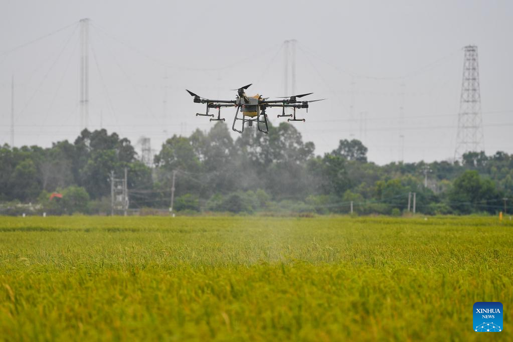 Dongfang City in S China an ideal place to develop seed industry-Xinhua