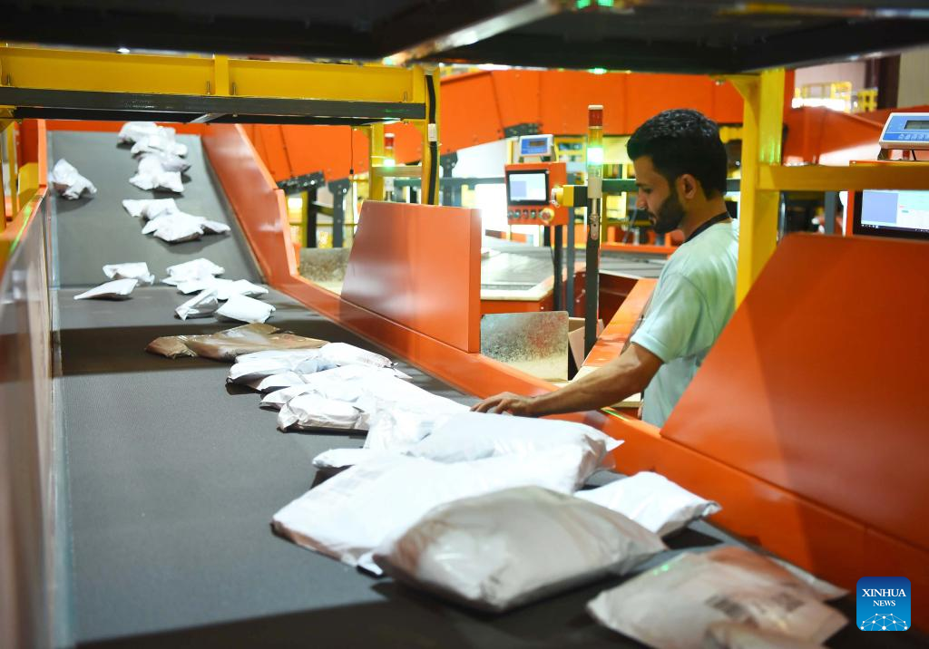 Roundup: Chinese firm's smart logistics centers to revolutionize ...