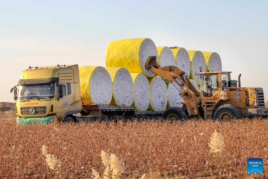 Cotton harvest season starts in Xinjiang-Xinhua