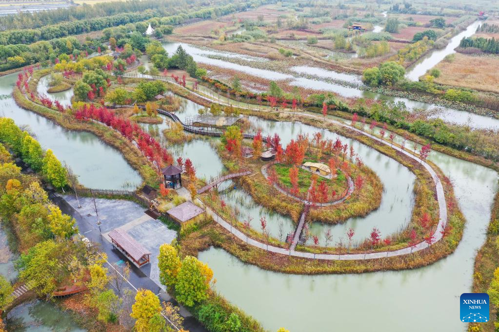 Autumn scenery of Hongze Lake Wetland Scenic Area in east China-Xinhua