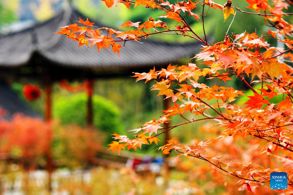 Autumn scenery across China-Xinhua