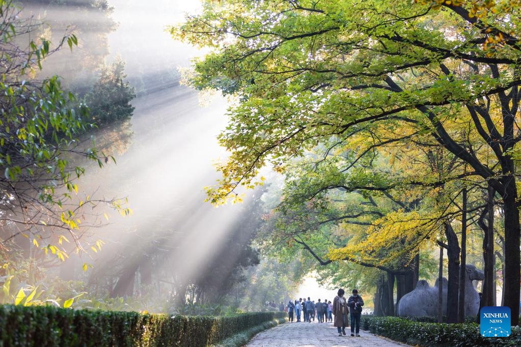 Autumn scenery across China-Xinhua
