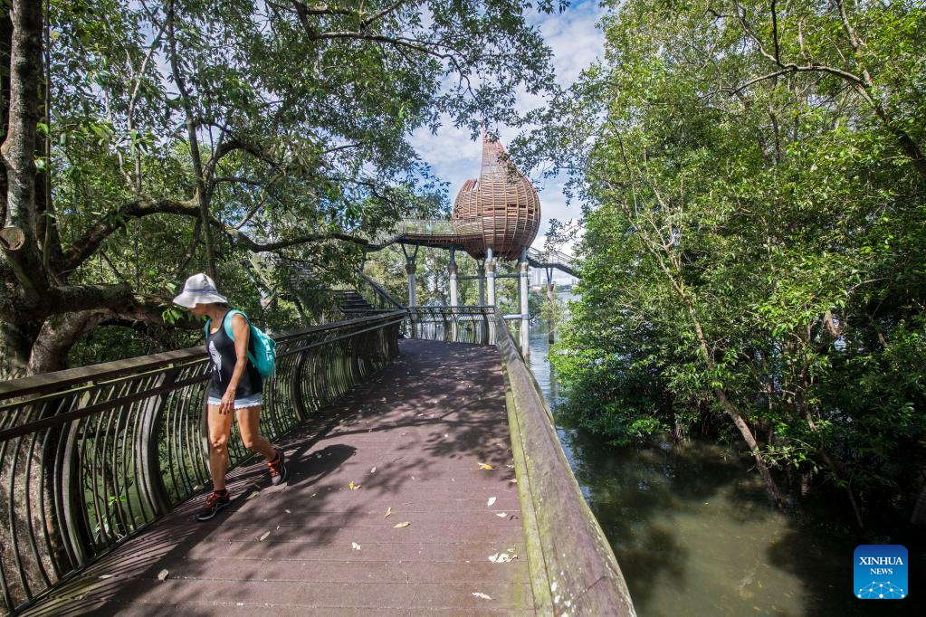 In pics: Sungei Buloh Wetland Reserve in Singapore-Xinhua