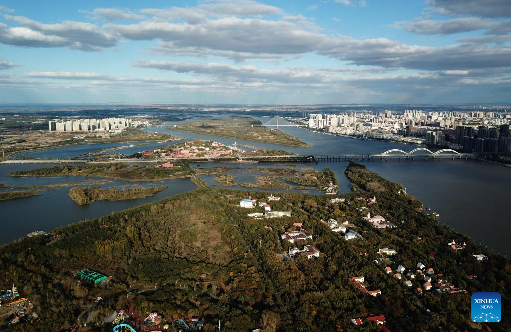 In pics: Harbin, wetland paradise in NE China-Xinhua