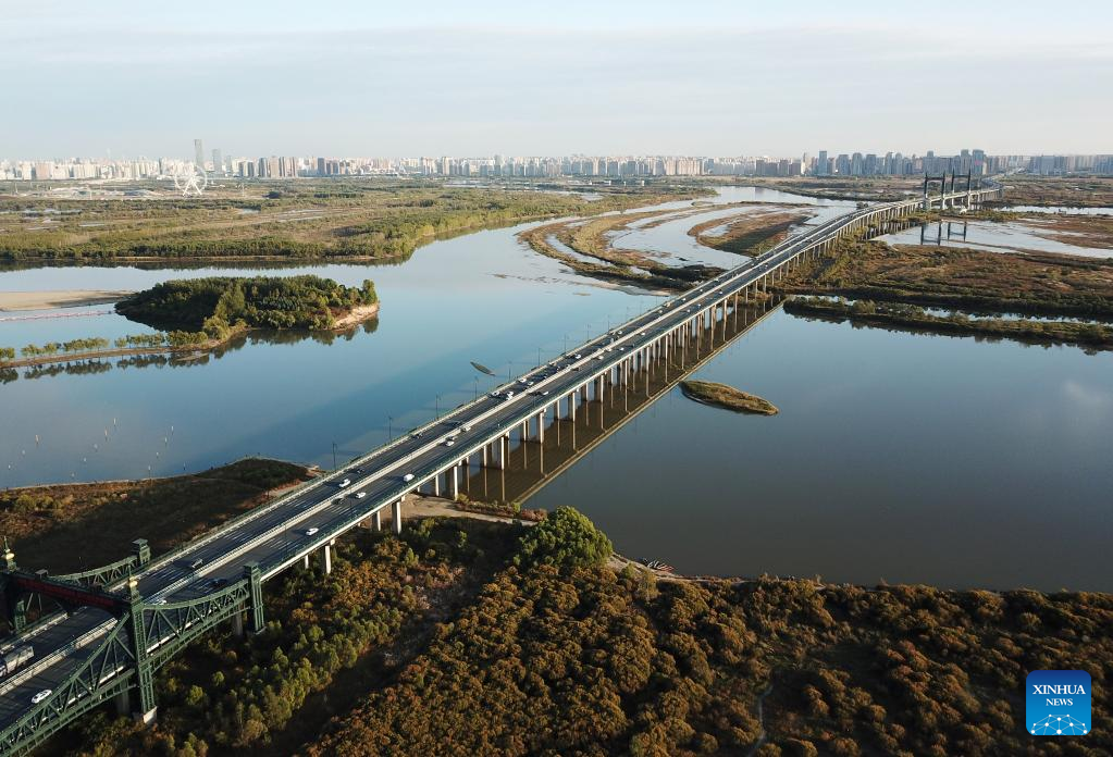 In pics: Harbin, wetland paradise in NE China-Xinhua