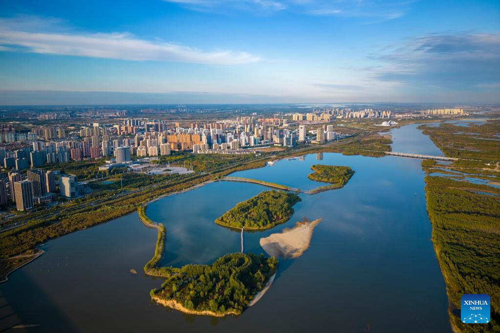 In pics: Harbin, wetland paradise in NE China-Xinhua