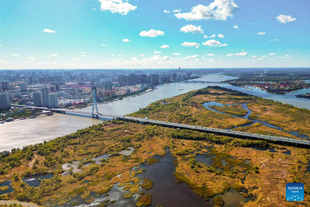 In pics: Harbin, wetland paradise in NE China-Xinhua