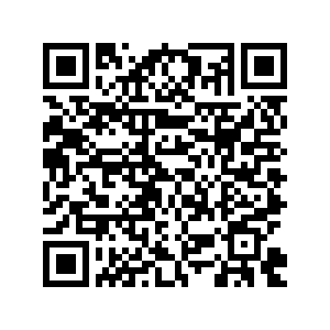 Bangladeshi PM unveils vision to build "Smart Bangladesh" by 2041-Xinhua