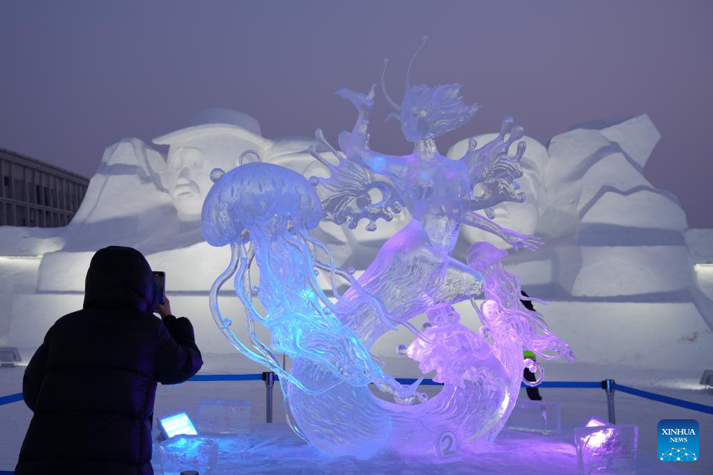 Ice sculpture competition concludes in Harbin, NE China's Heilongjiang ...