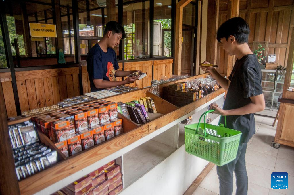 In pics: chocolate-producing village in Yogyakarta, Indonesia-Xinhua