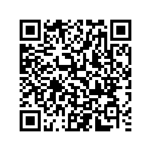 GLOBALink | Belt and Road Initiative offers development opportunities ...