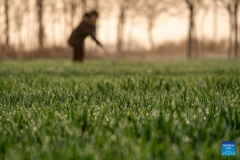 Villagers busy at farming on spring equinox-Xinhua