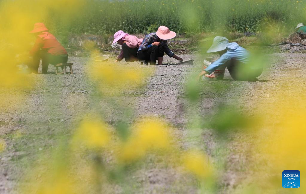 Villagers busy at farming on spring equinox-Xinhua