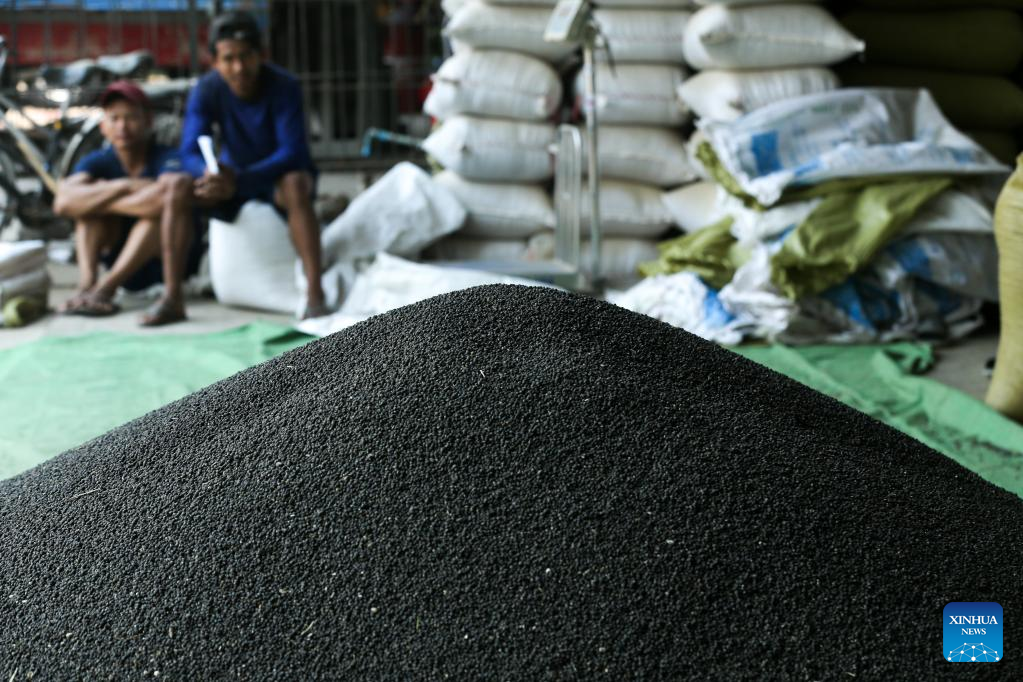 Myanmar exports over 600,000 tons of black grams-Xinhua
