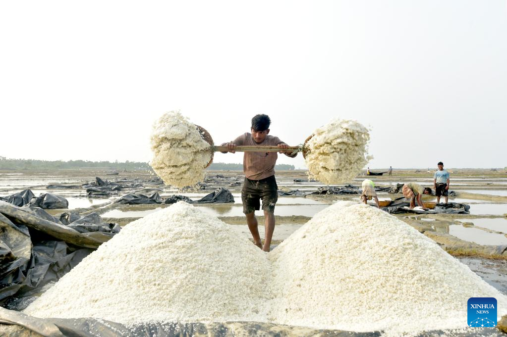 People busy harvesting salt in Bangladesh-Xinhua