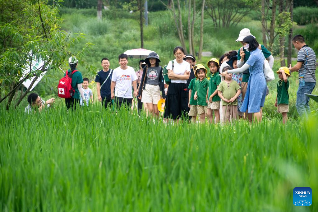 People visit Guangyang Isle for ecological education tour in SW China's ...