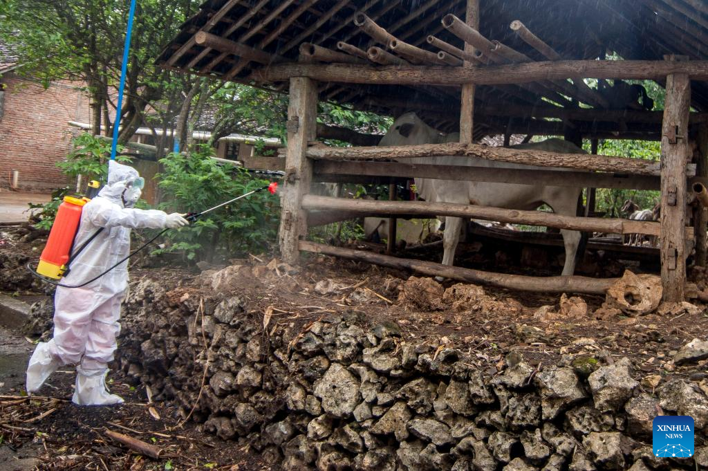 1 killed, 85 infected in anthrax outbreak in Indonesia's Yogyakarta-Xinhua