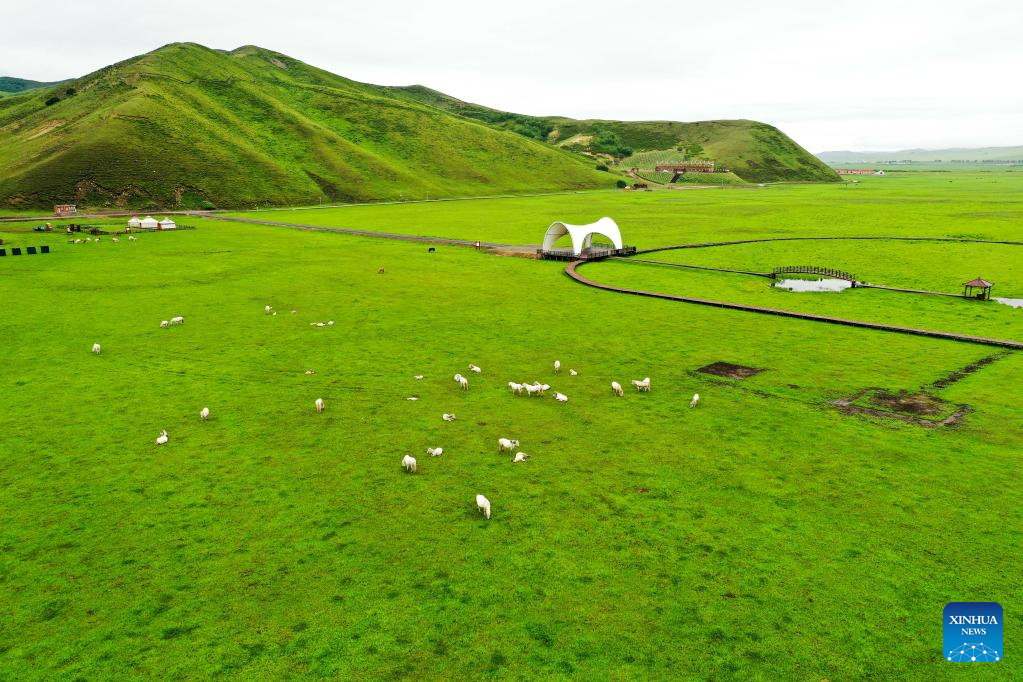 Summer scenery of Ulan Mod grassland in Horqin Right Wing Front Banner ...