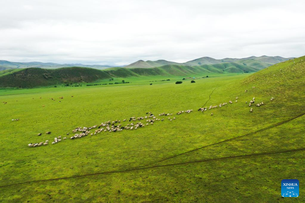 Summer scenery of Ulan Mod grassland in Horqin Right Wing Front Banner ...