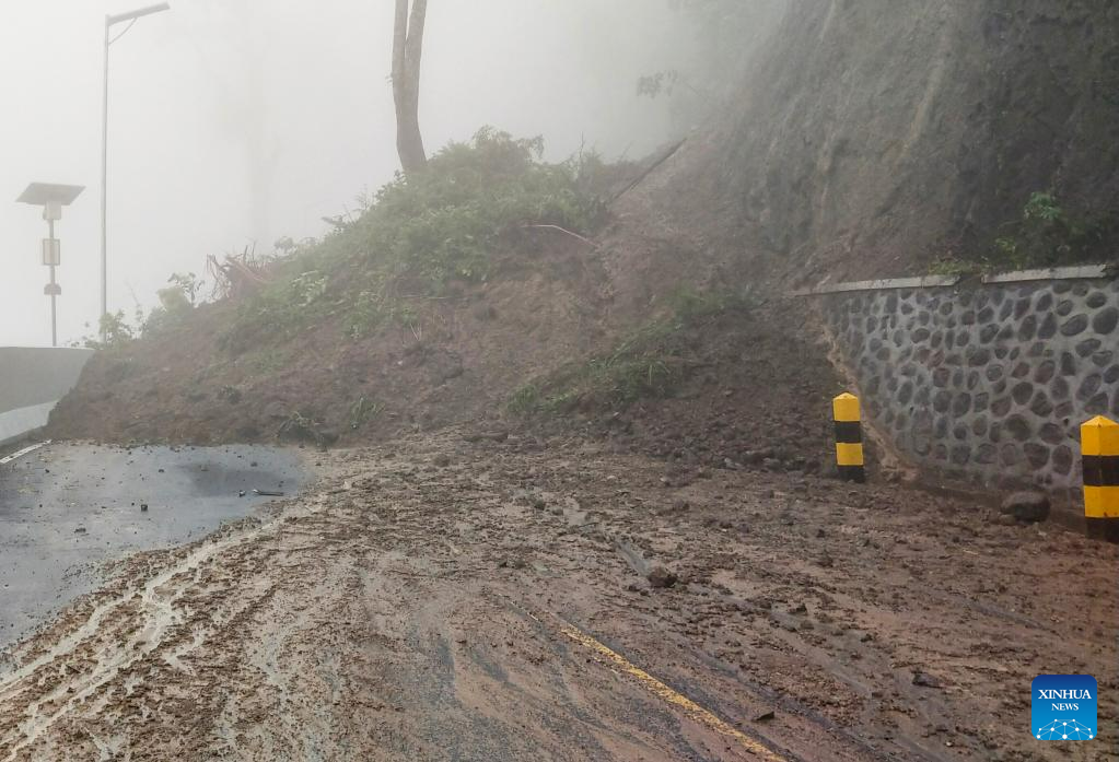 3 killed in landslides in Indonesia's East Java-Xinhua