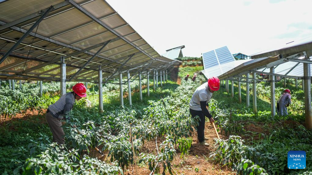 Guizhou makes big stride in development of new energy industry in ...