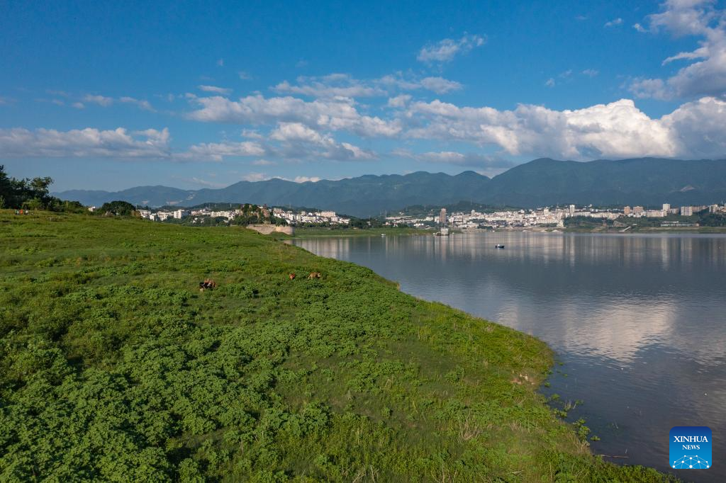 Three Gorges Reservoir witnesses improved ecological environment in SW ...
