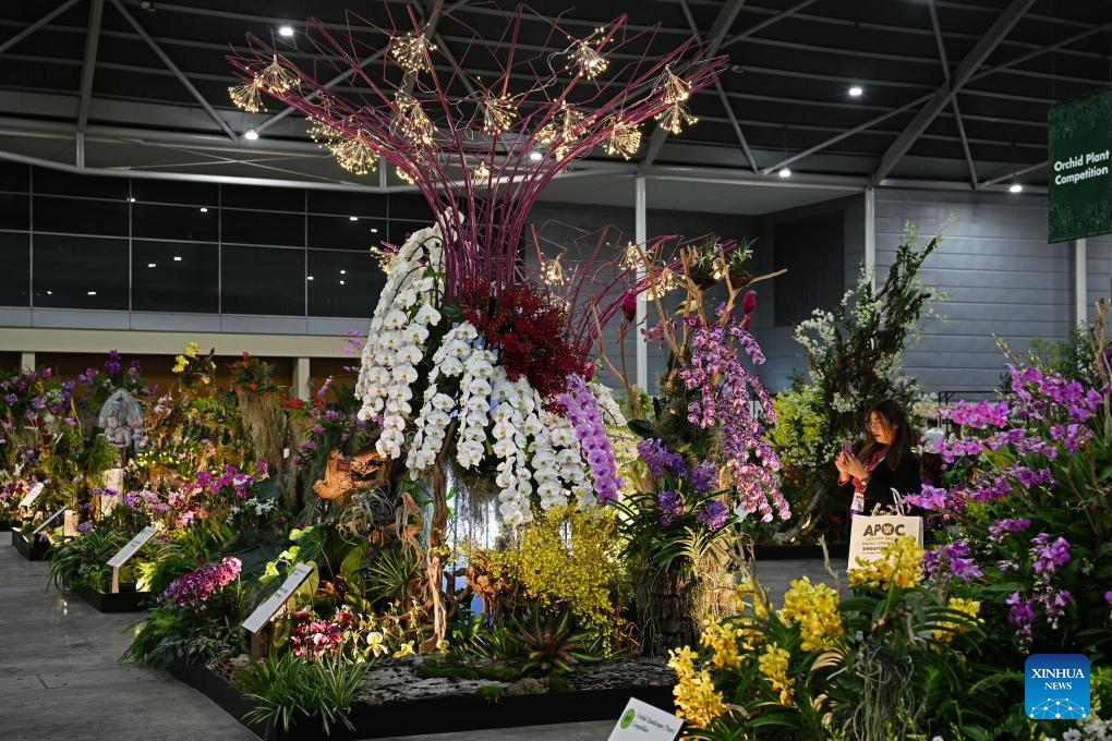 People visit orchid show during 14th Asia Pacific Orchid Conference in ...