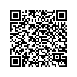 Cambodia, Laos launch 1st phase of cross-border QR code payments-Xinhua