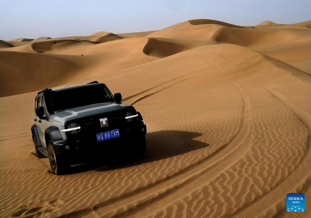 Makit County near Taklimakan Desert capitalizes on natural resources ...