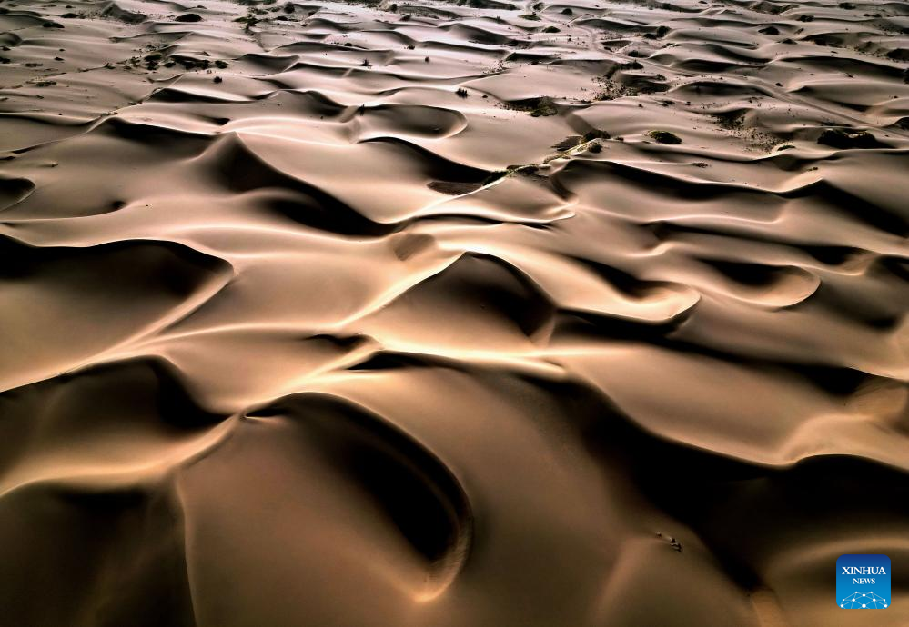 Makit County near Taklimakan Desert capitalizes on natural resources ...